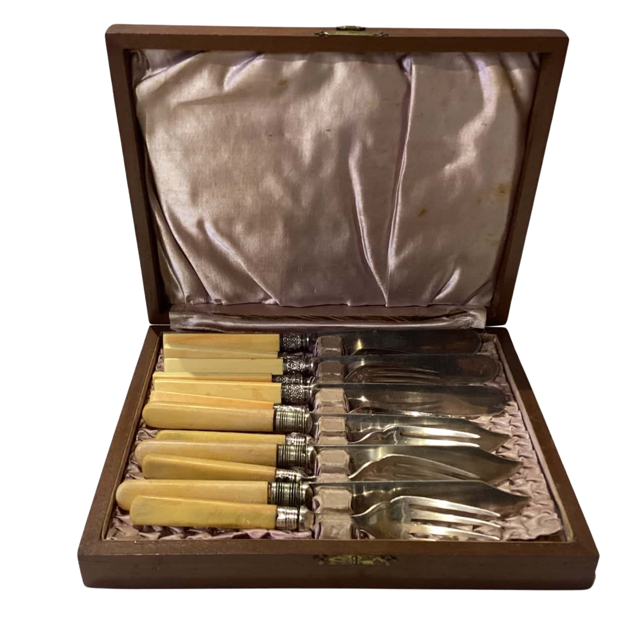 Vintage Set of 12 Bone Handle Knives and Forks in Box(s)