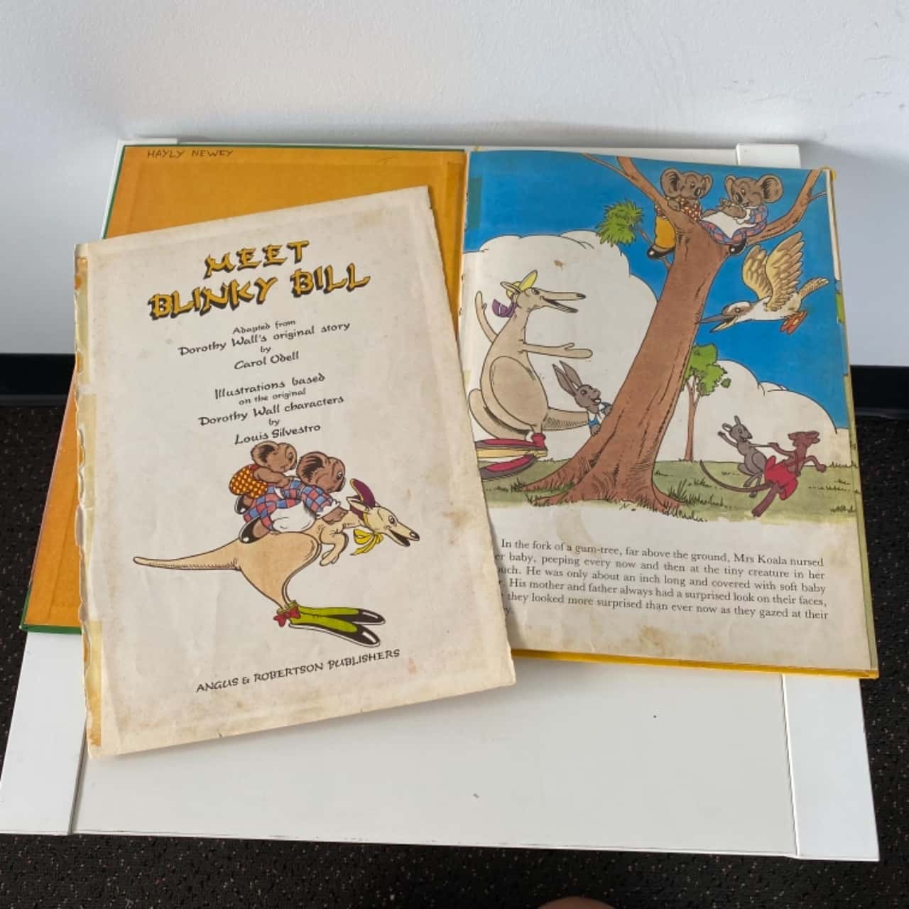 Meet Blinky Bill Vintage 1984 edition Printed Book(s)