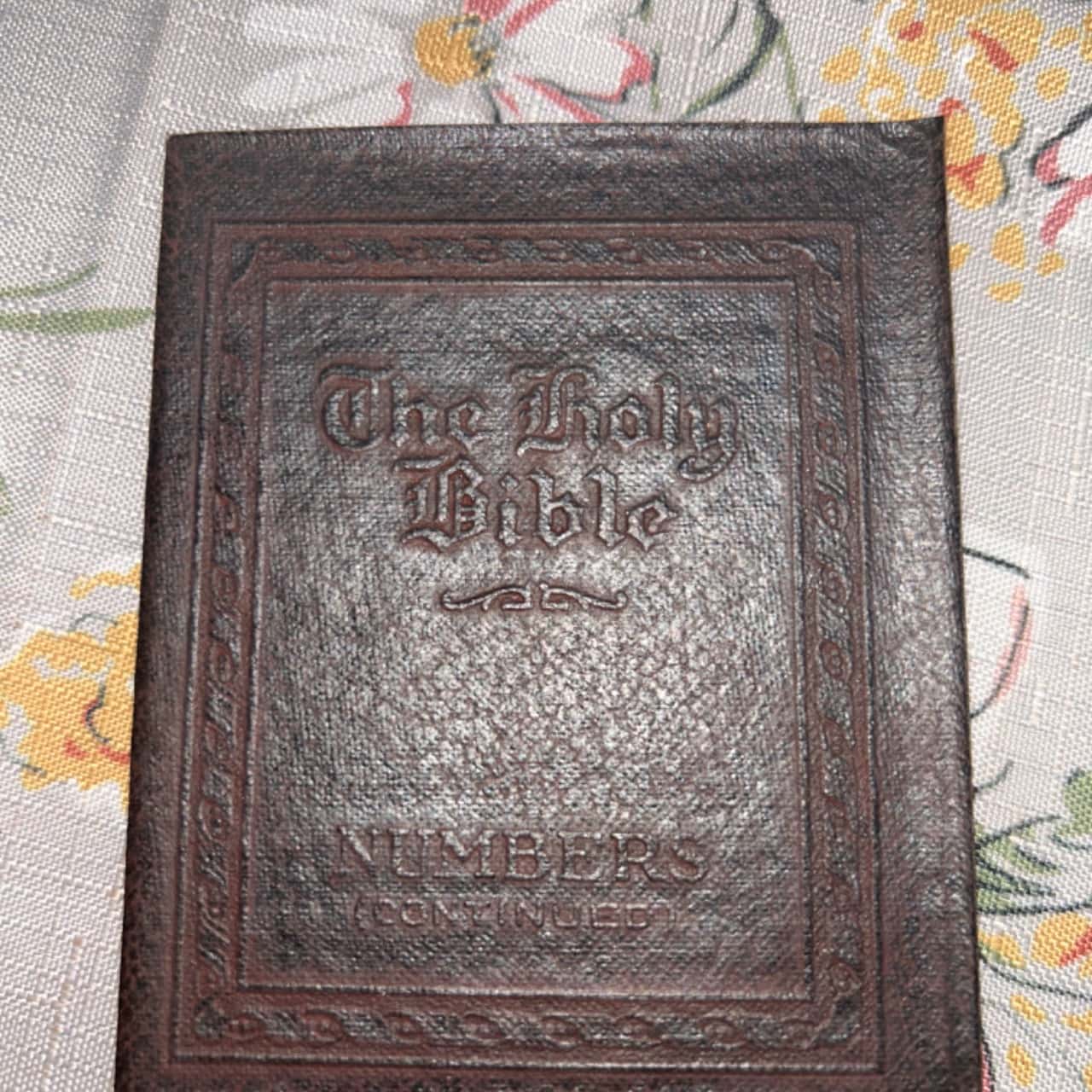 The Holy Bible numbers (continued little leather bibles 5(b25)(s)