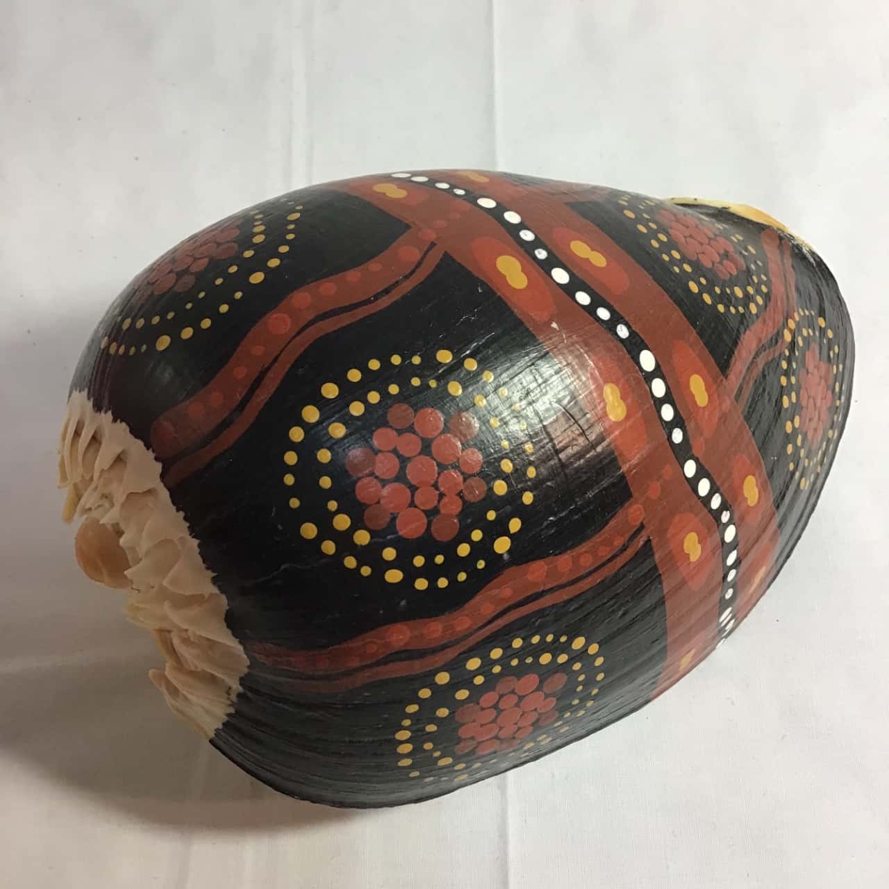 “Reduced” Sea Shell with Aboriginal drawing name on is Djugan(s)