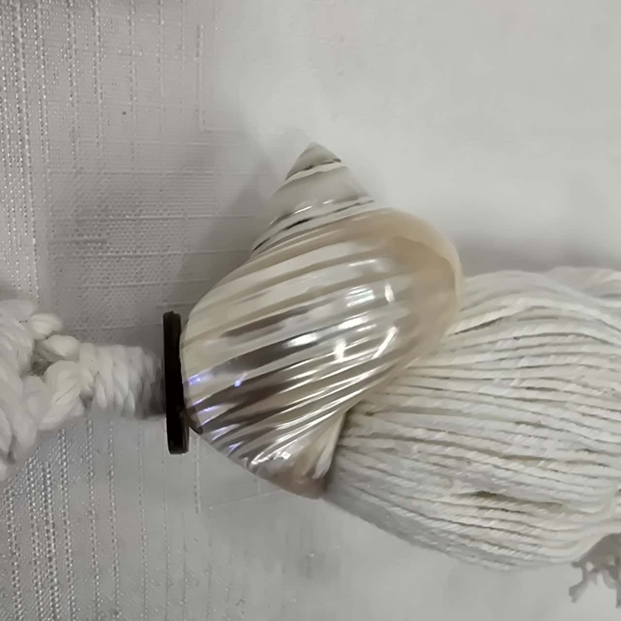 Designer Real Shell Curtain Tie-Backs - 1 pair(s)