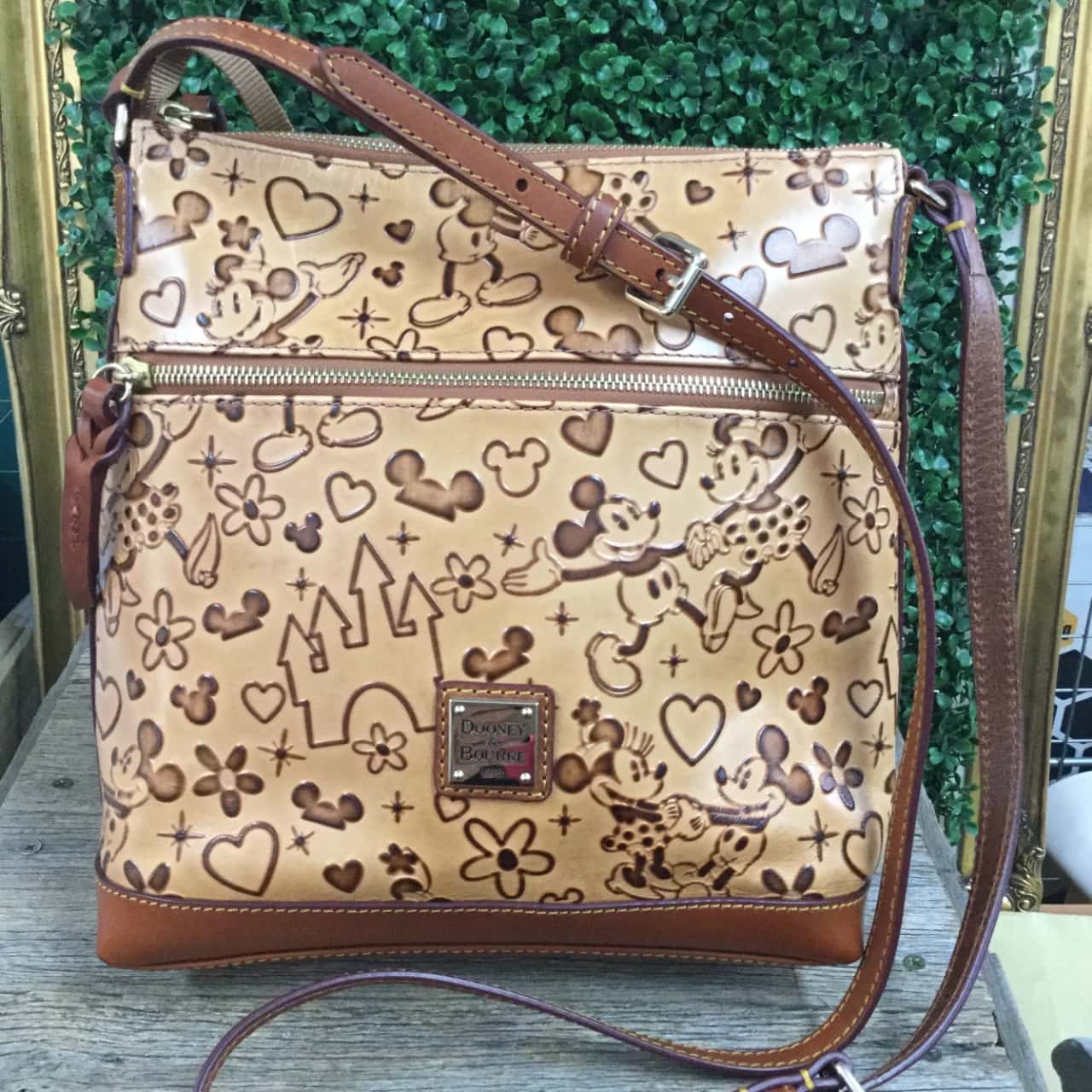 Dooney & Bourke(s)