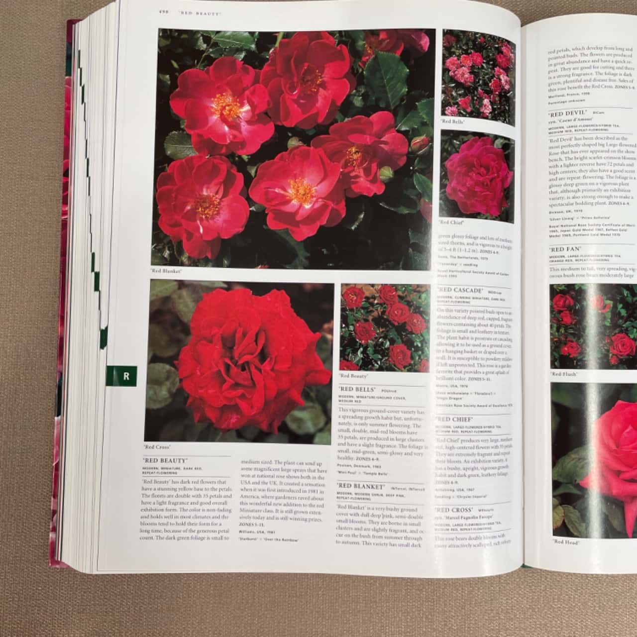 Botanica’s Roses - The Encyclopedia of Roses(s)