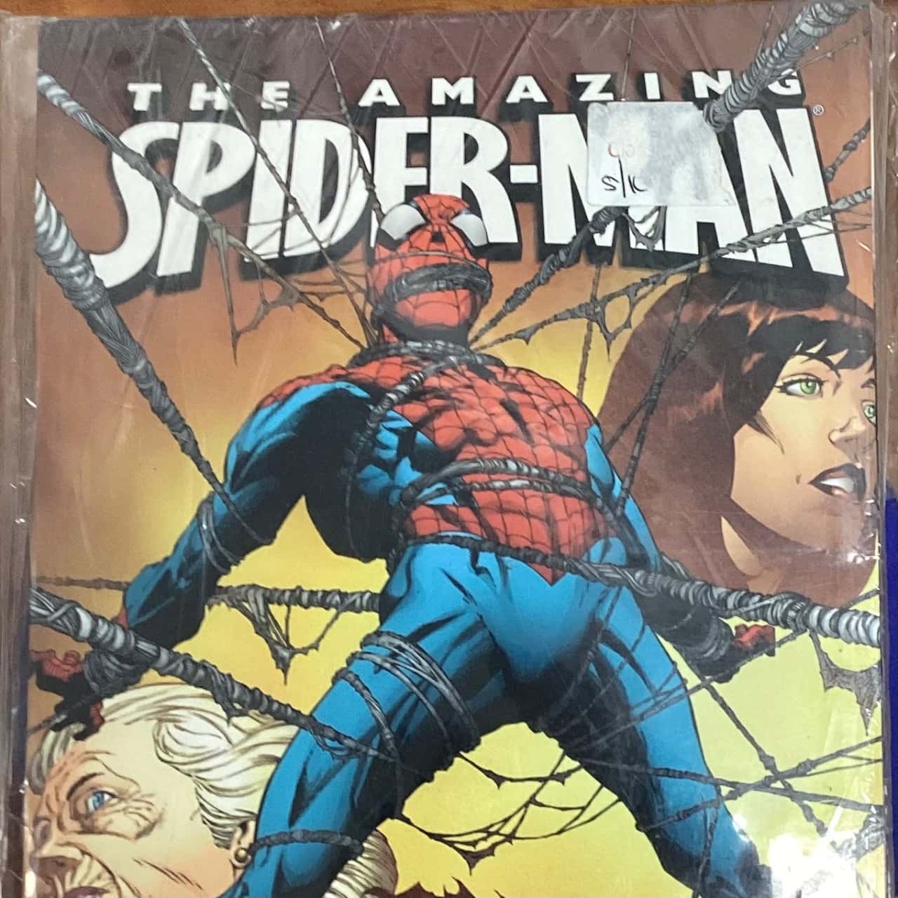 The Amazing Spider-Man books