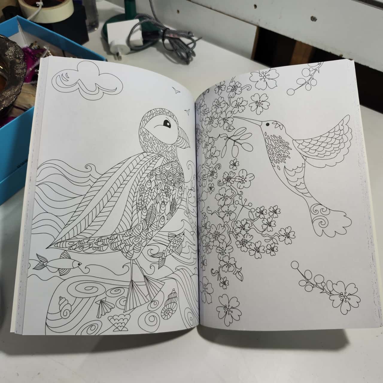 Calming Nature Colouring In Book (s)