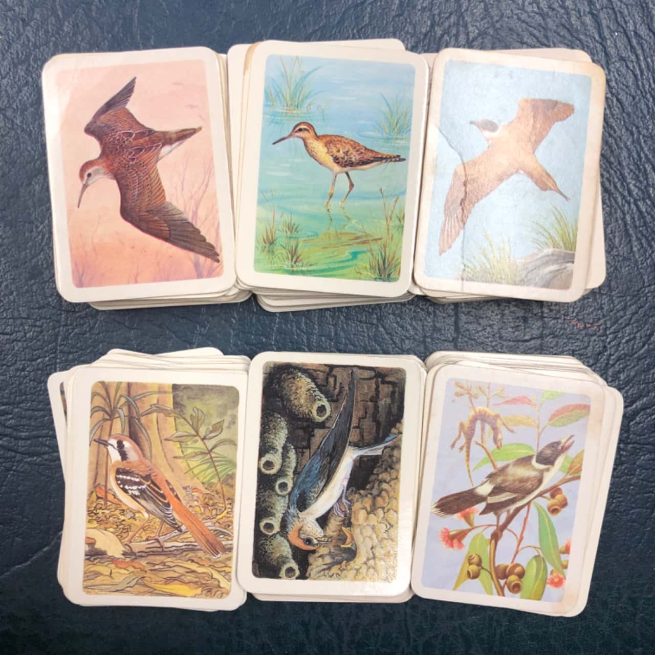 100+ Australian Bird Series Collectable Trading Cards(s) - Used Good ...