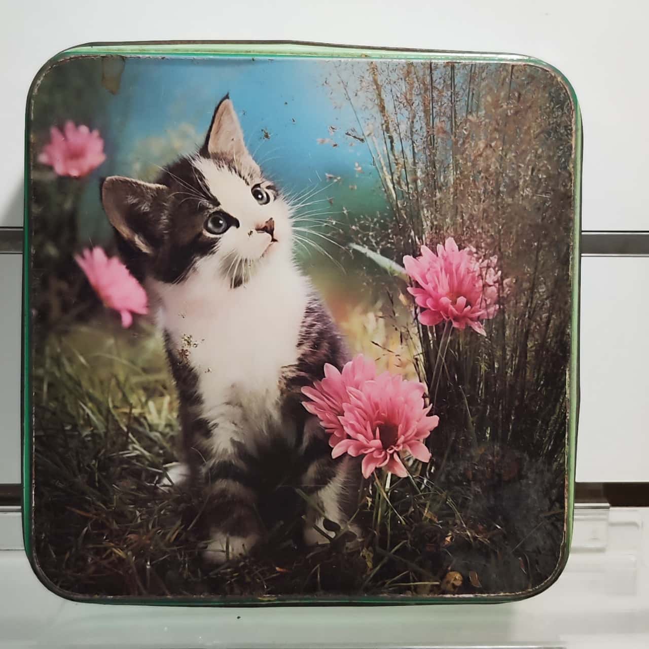 Vintage Kitty Tin (s)