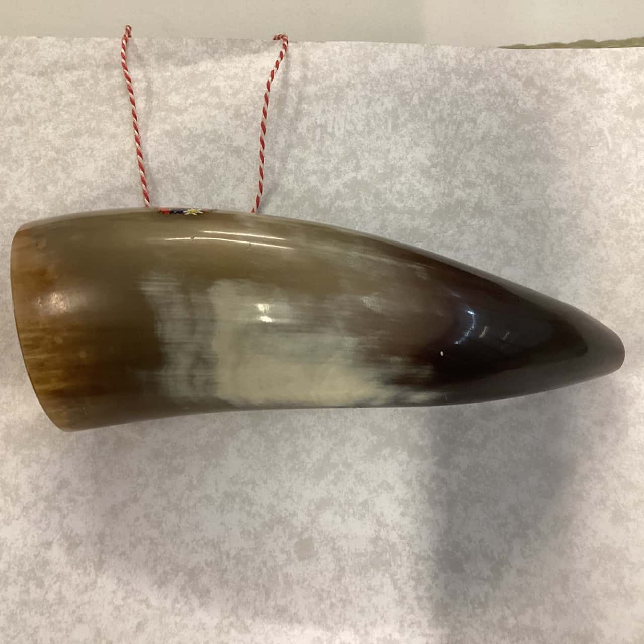 Polished cow horn with toy squeaker in the mouth piece