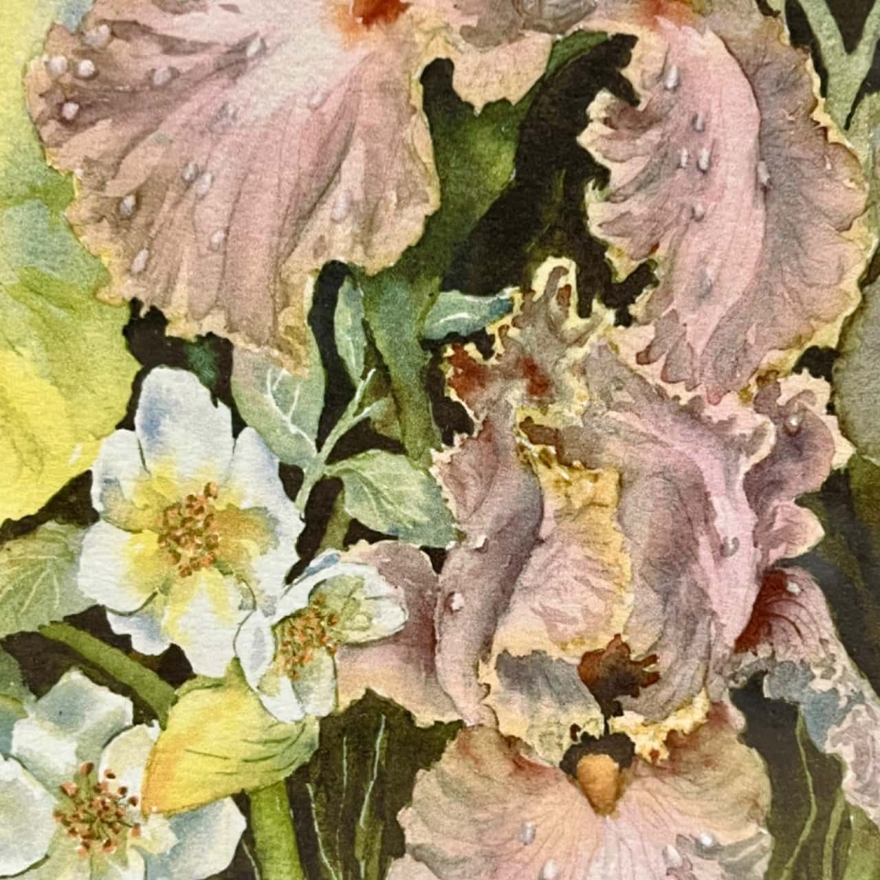 Watercolour Pink Iris - Joy Joyce 36cm x 43cm Framed behind Glass (s)