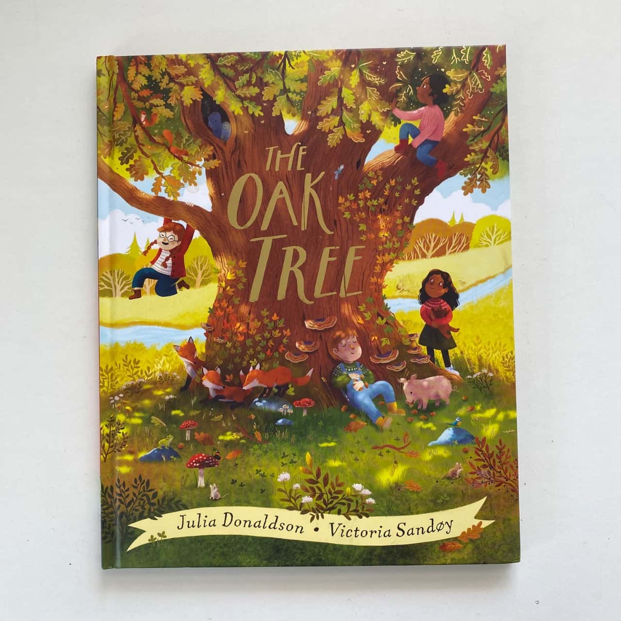 The Oak Tree Julia Donaldson & Victoria Sandoy(s)