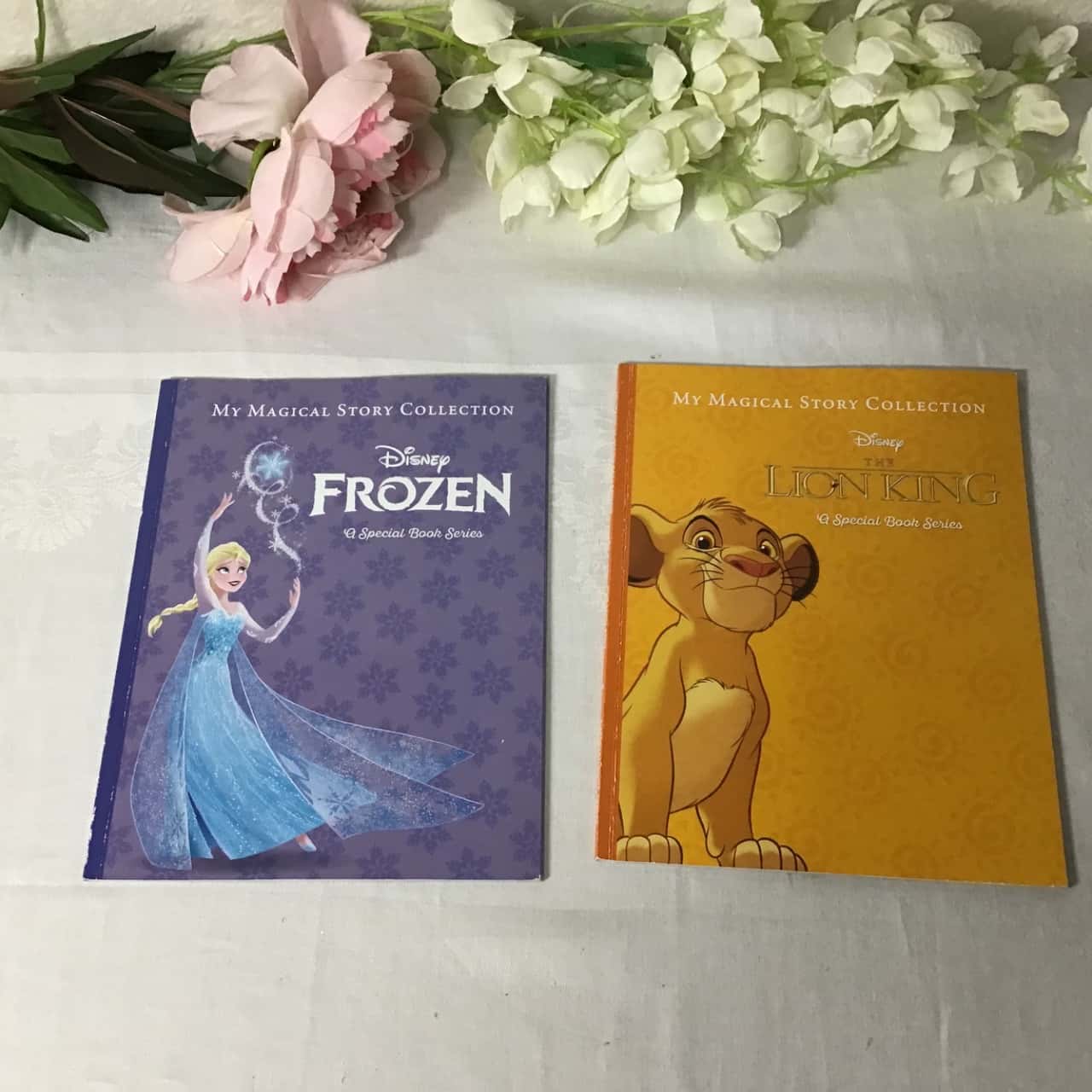 Disney: My Magical Story Collection (x 10 books)
