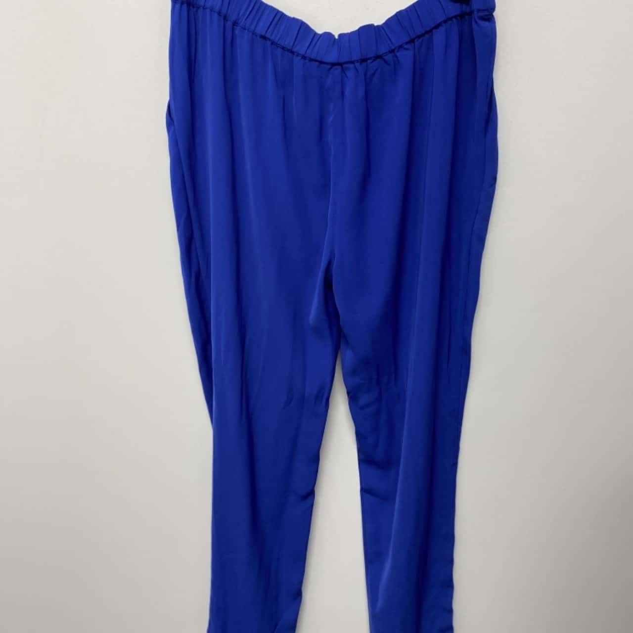 BNWT Howard Showers Womens Size 12 Blue (s)
