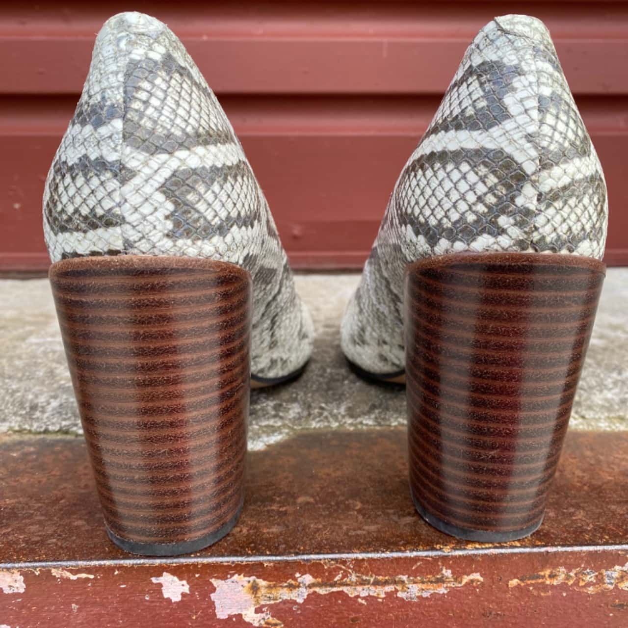 Clarks Womens size 6.5D Leather Snake Print Pump Shoes