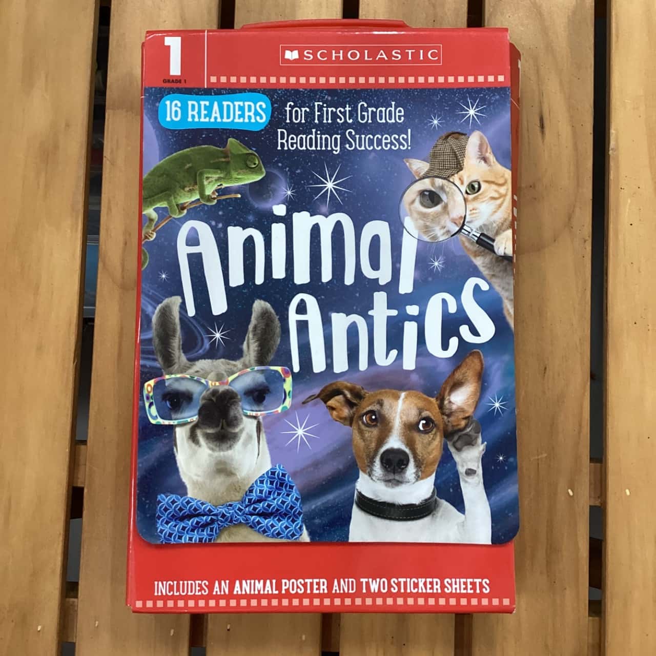 Scholastic Animal Antics Book Set