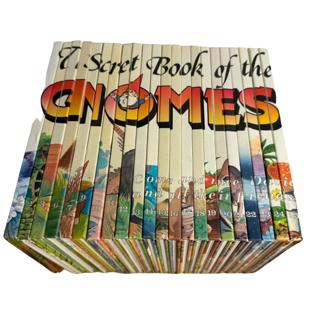 The Secret Book of the Gnomes 22 of 25