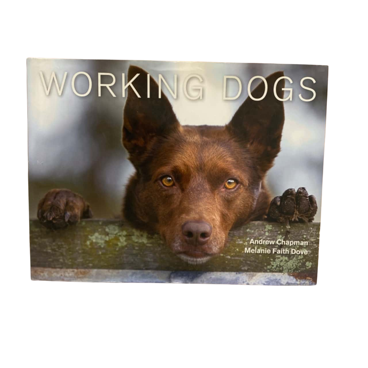Biok- Wirking Dogs- Photo Documentary of Australian Dogs