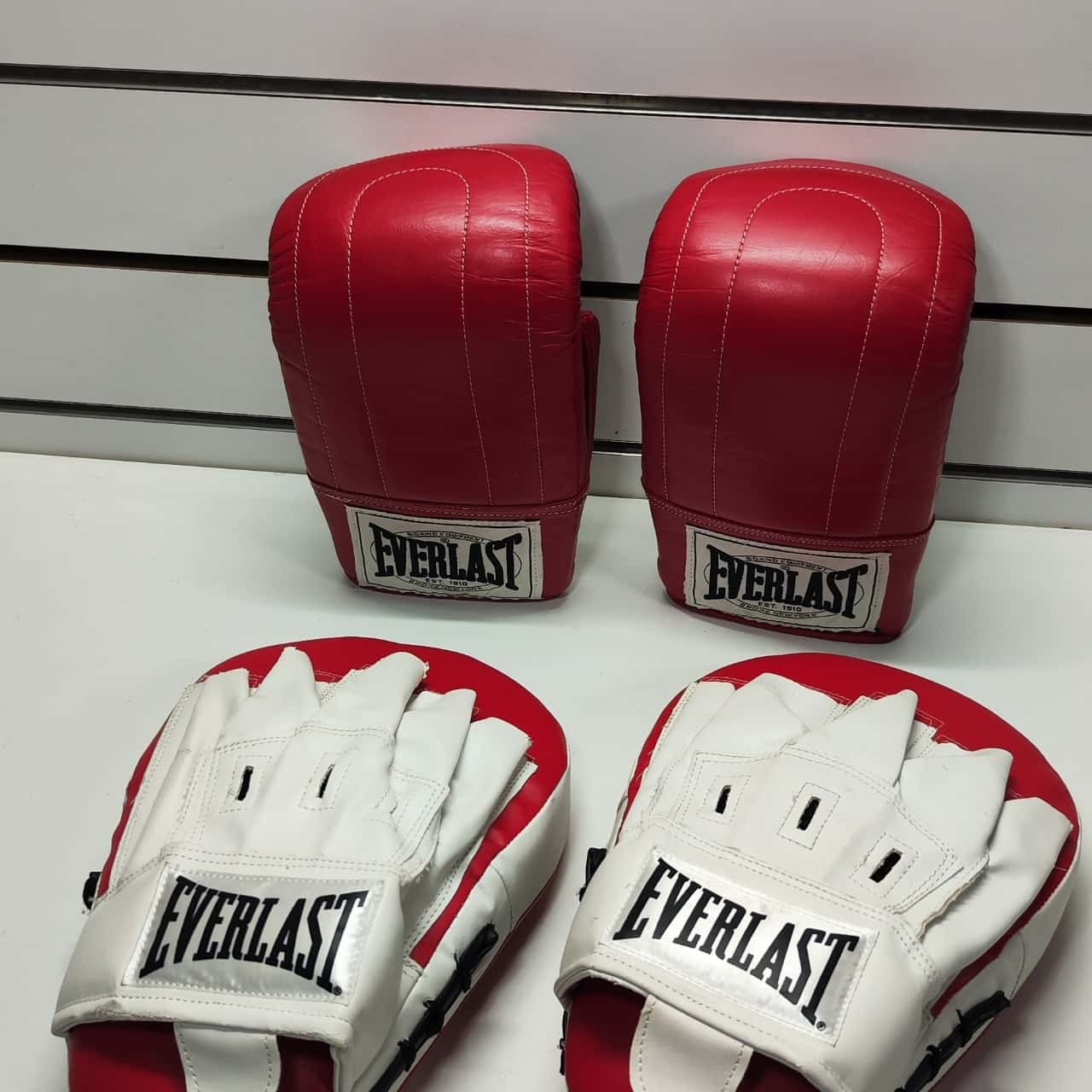 4pcs Everlast Boxing Glove Set