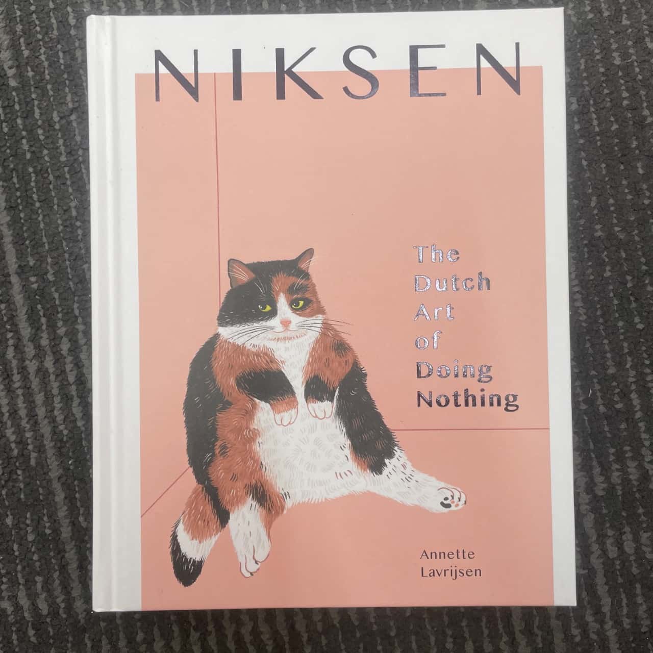 Niksen- The Dutch Art of doing nothing, Annette Lavrijsen (s)