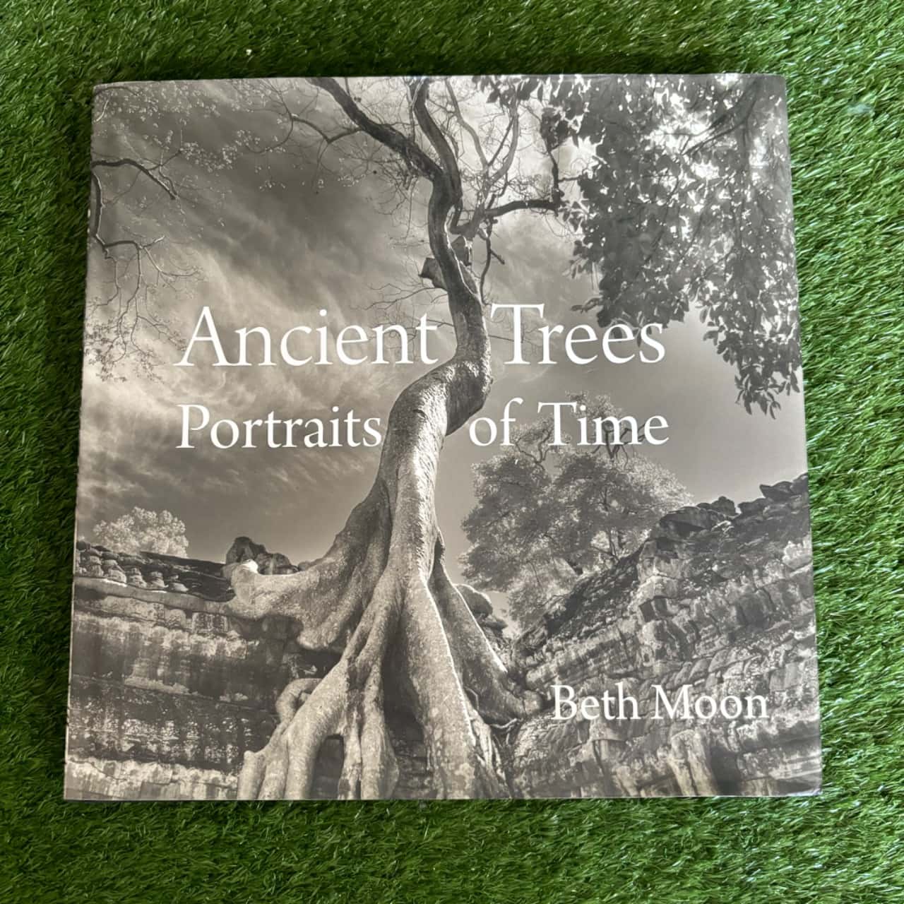 Ancient Trees Portraits of Time by Beth Moon