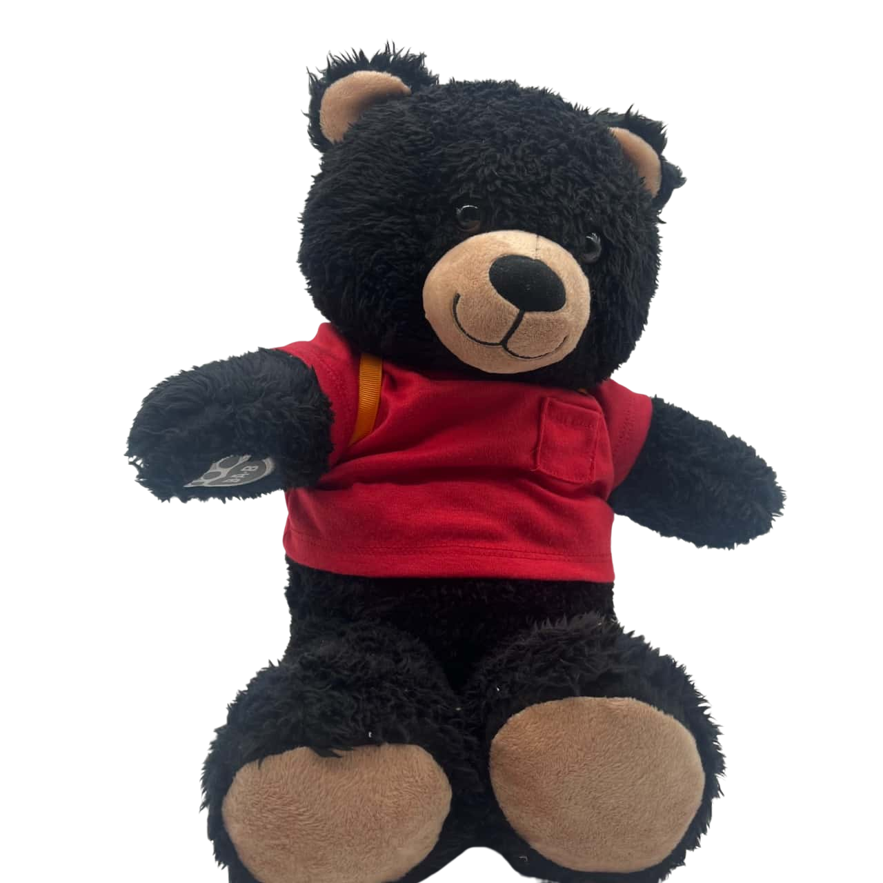 Build-a-Bear with Back Pack