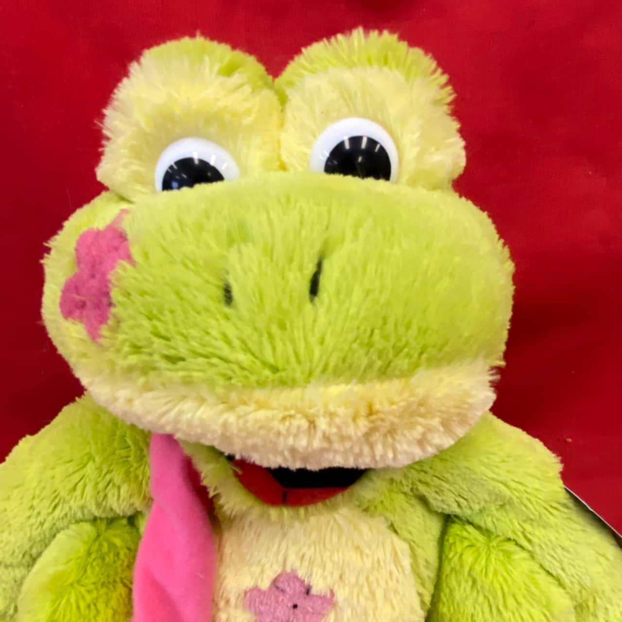 Dinki-Di-Cuddles Frog