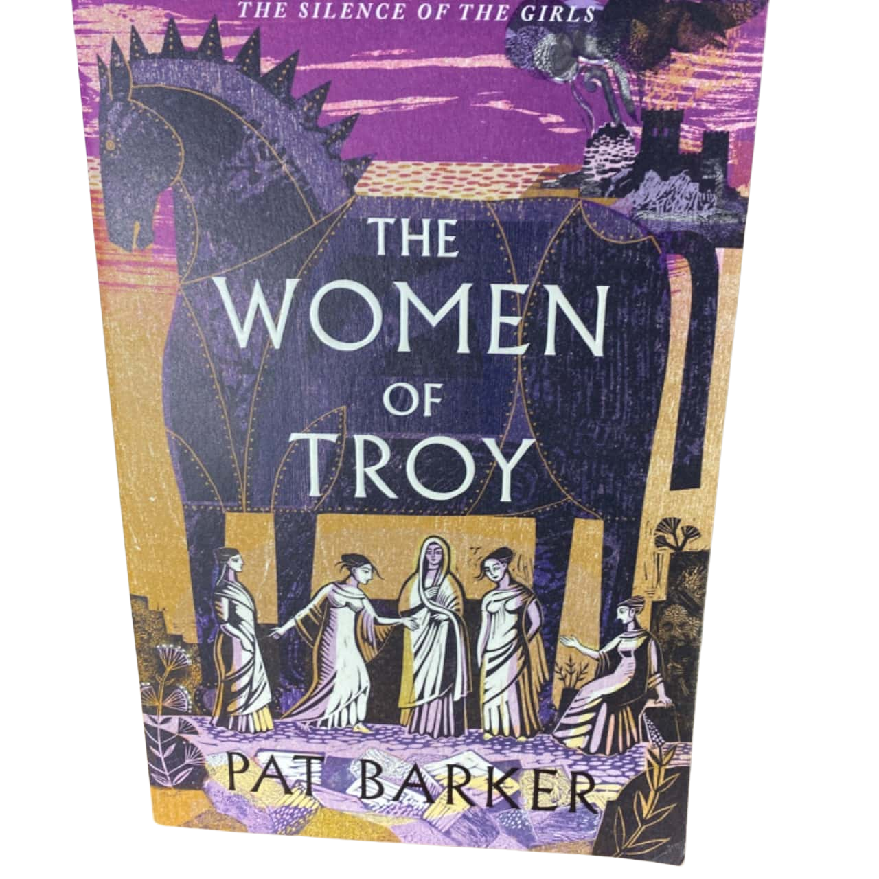 The Women of Troy by Pat Barker Paperback Novel(s)