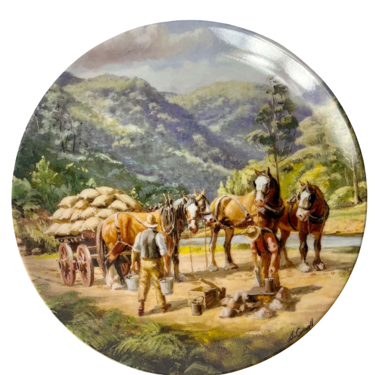 Collectors Limited Edition plate from Bradford Exchange (s)