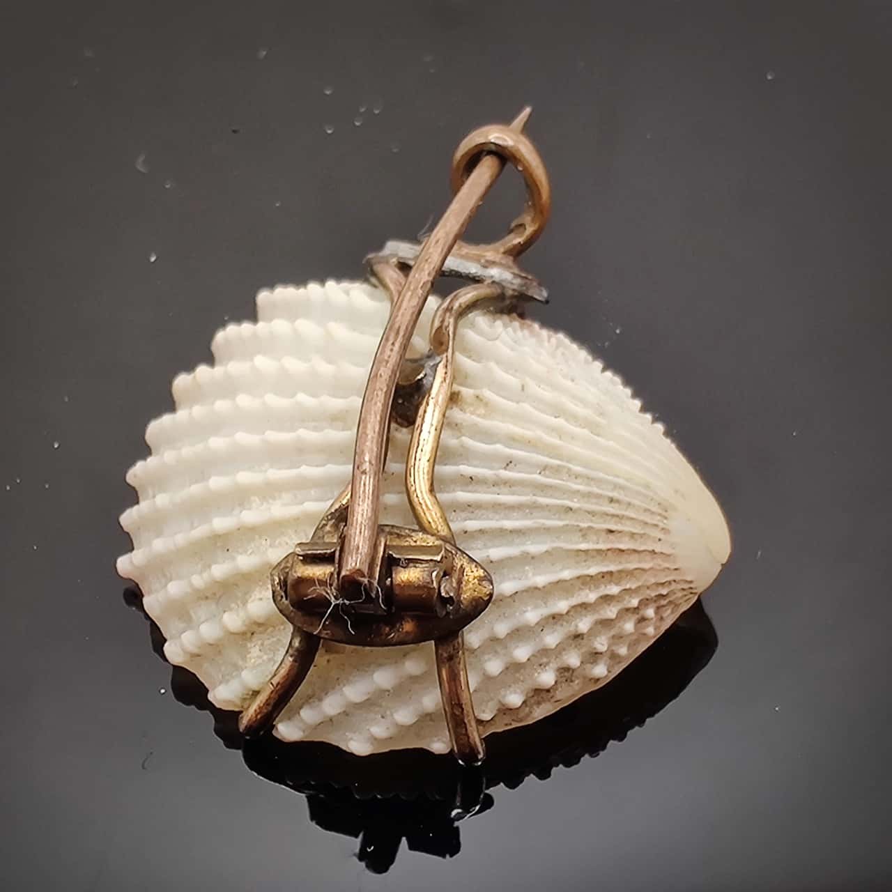 Antique Shell Brooch Set With Mother of Pearl & Gold Map Of Tasmania ...