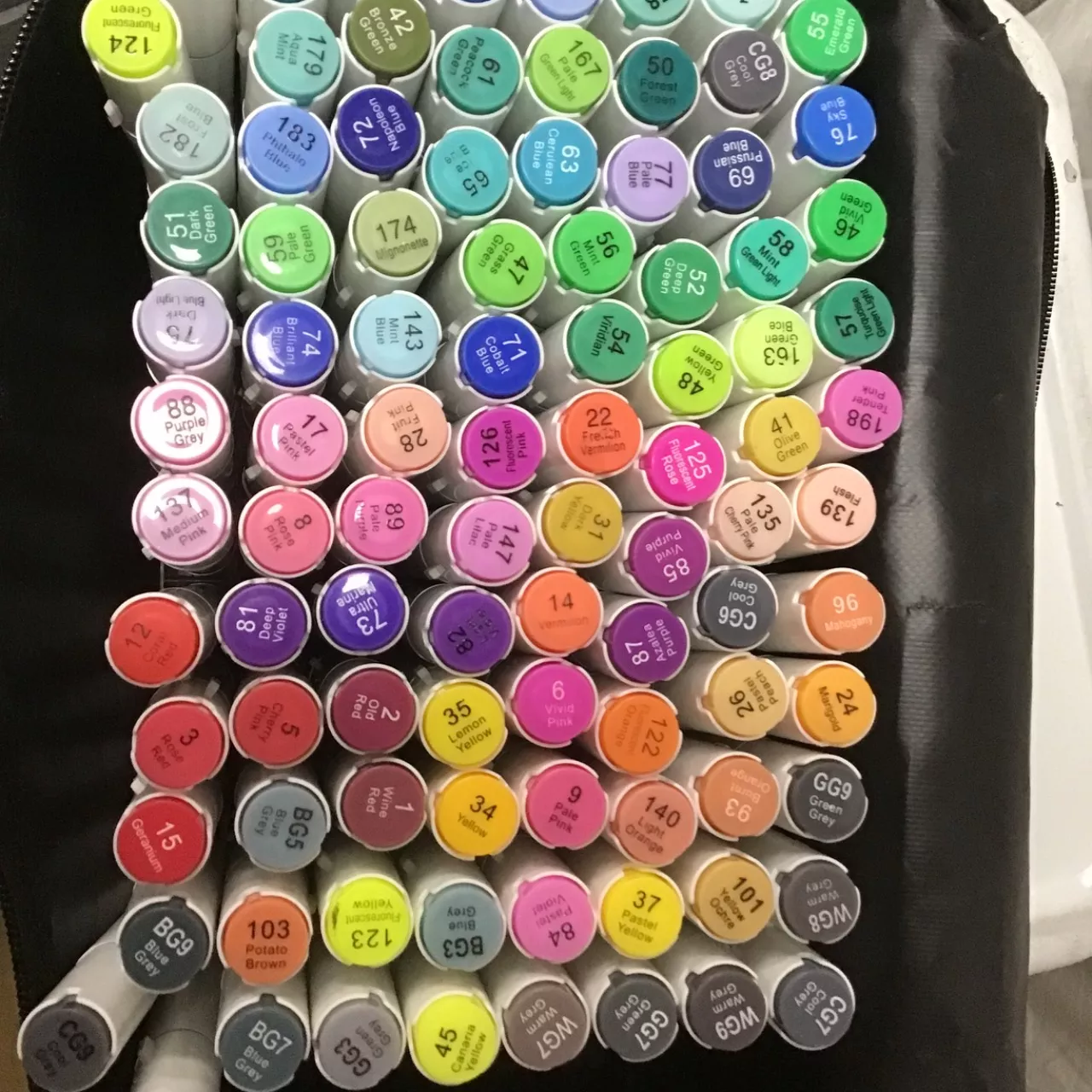 Chen Rui 120 Color dual marker(s) - Used Very Good | Salvos Stores