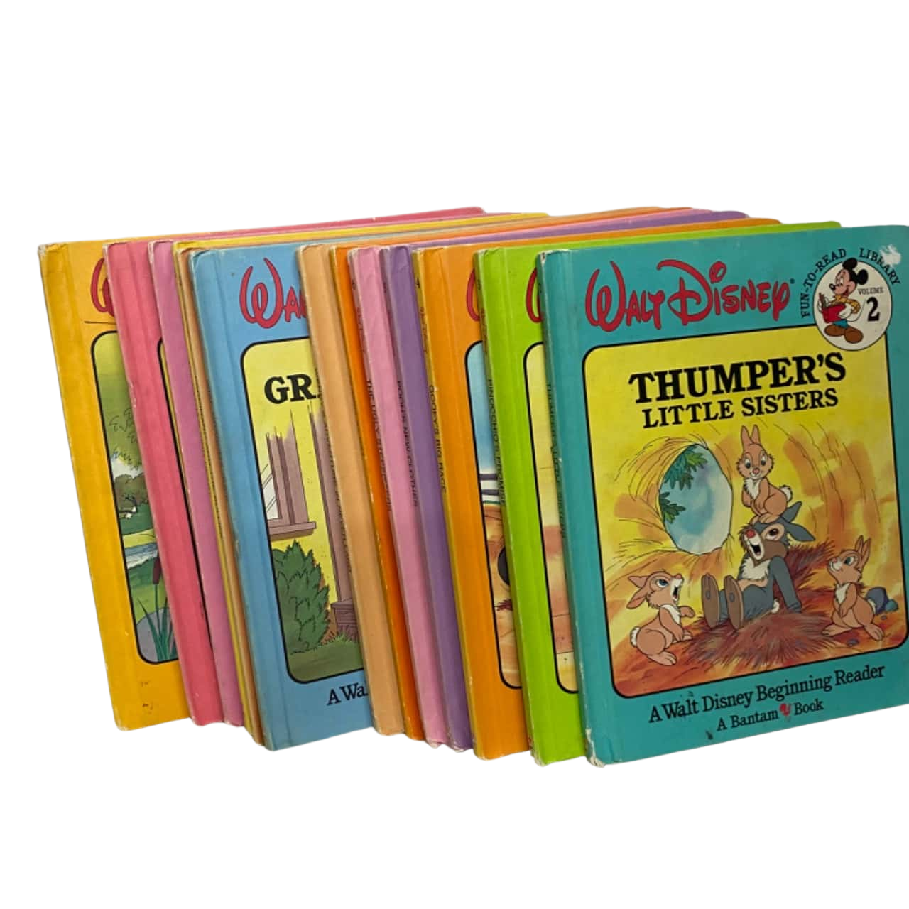 Disney fun to read library