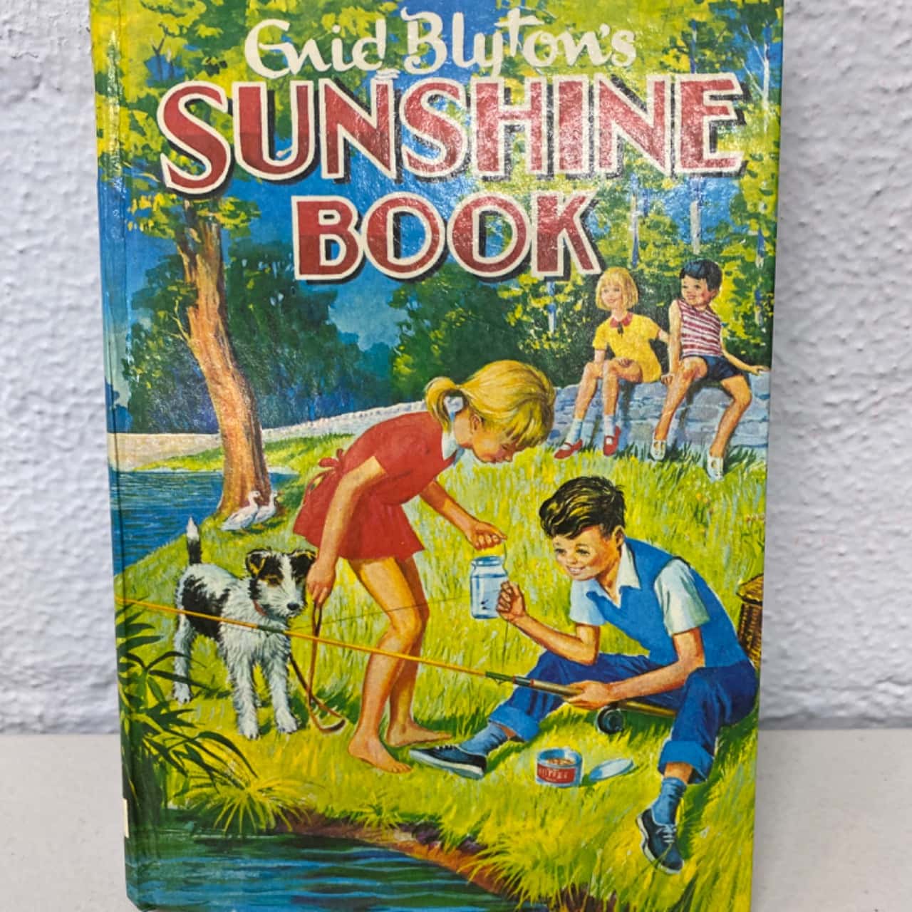 Enid Blyton’s Sunshine Book(s)