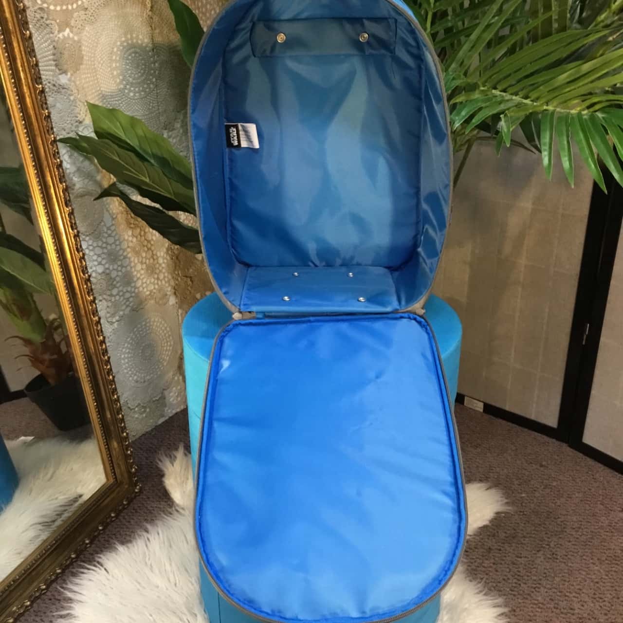 Caprice Star Wars R2 D2 luggage(s)