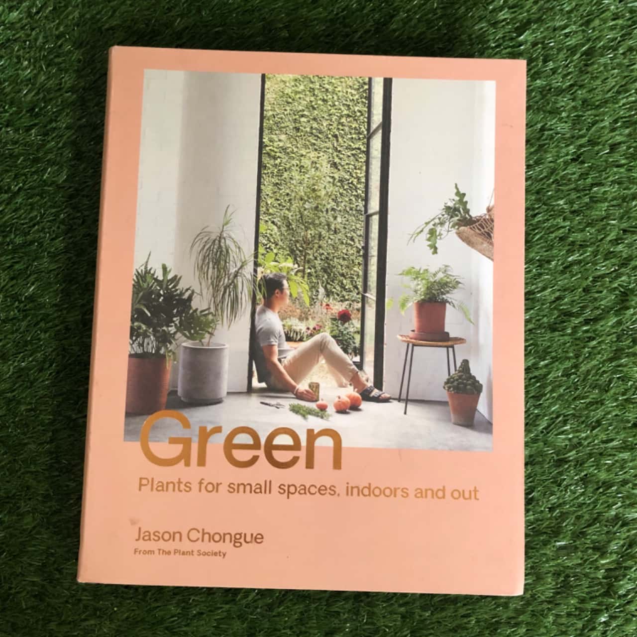 Green: Plants for Small Spaces, Indoors and Out by Jason Chongue(s)