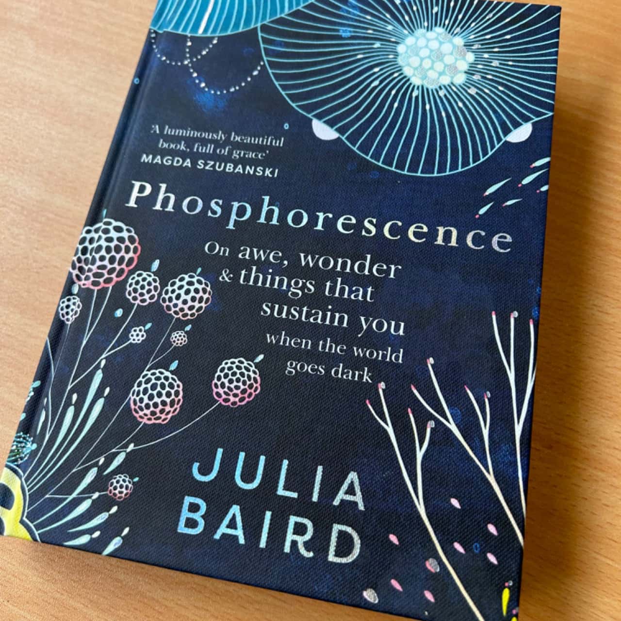 SIGNED Phosphorescence: On Awe, Wonder and Things That Sustain You When ...