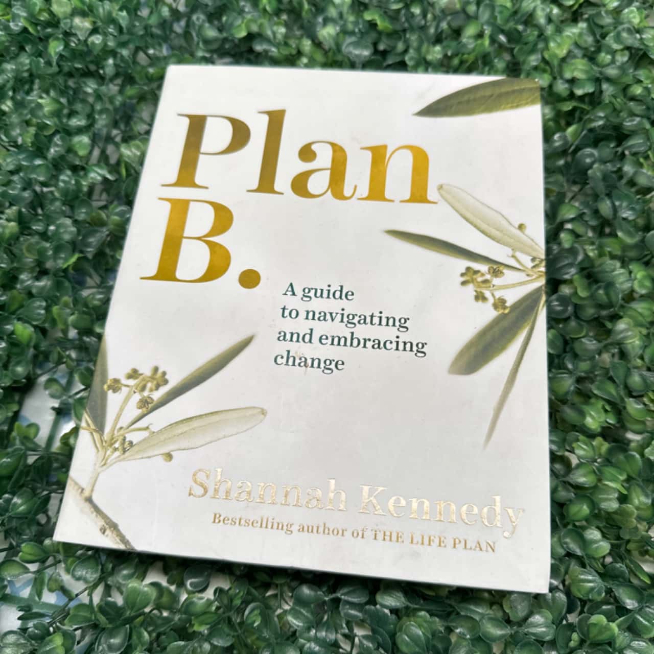 Plan B (s)