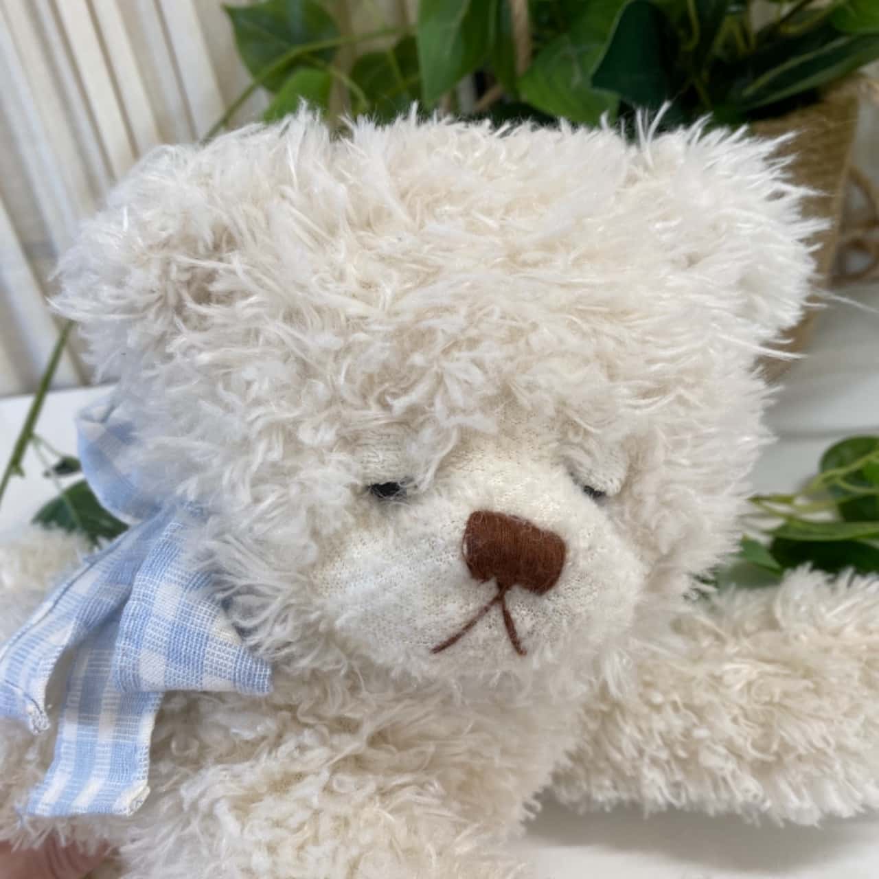 Settler Bears 40cm Sleepy White Bear(s)