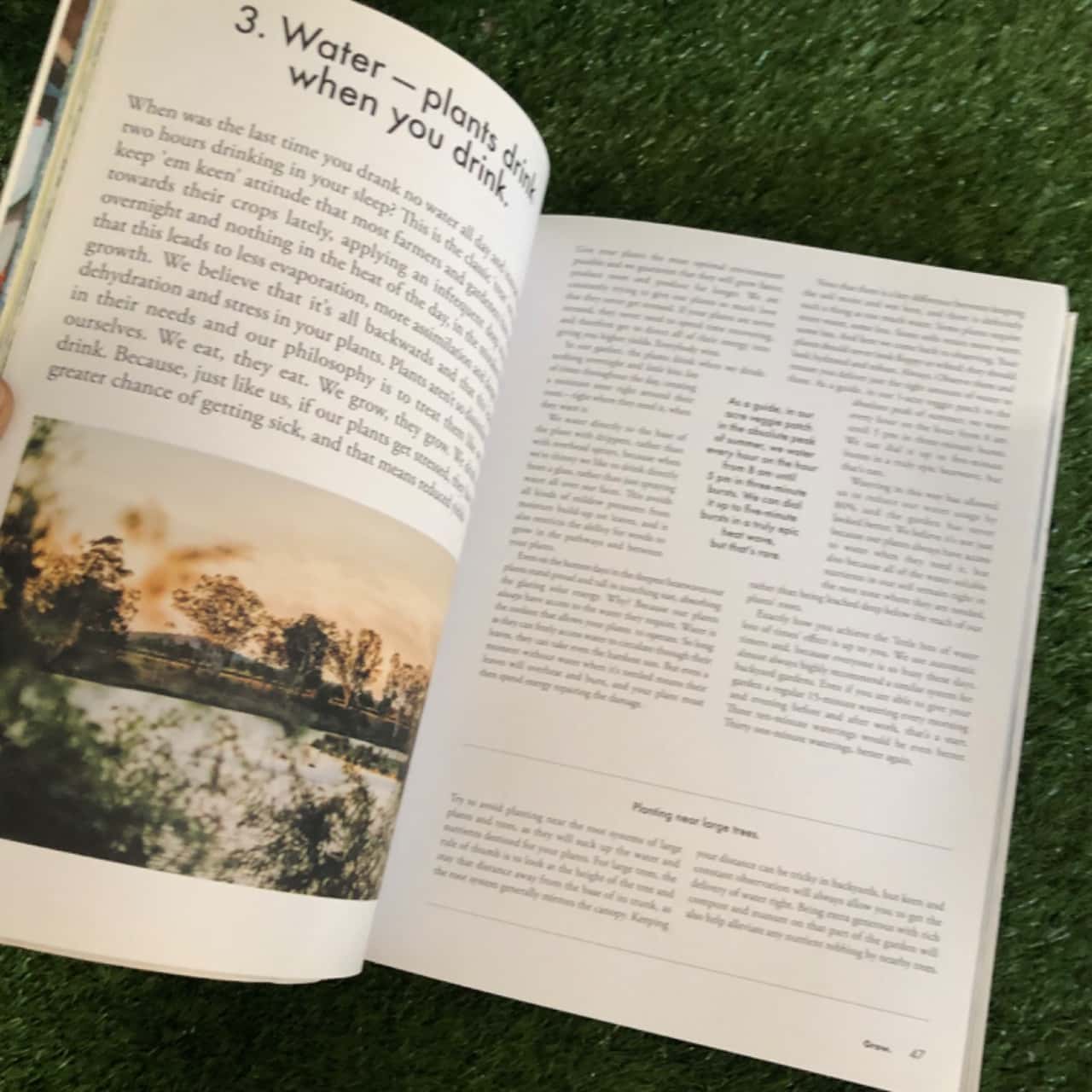 Grown & Gathered by Matt Purbrick & Lentil Purbrick(s)