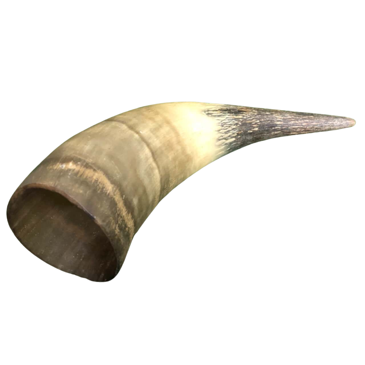 Natural Horn (s)