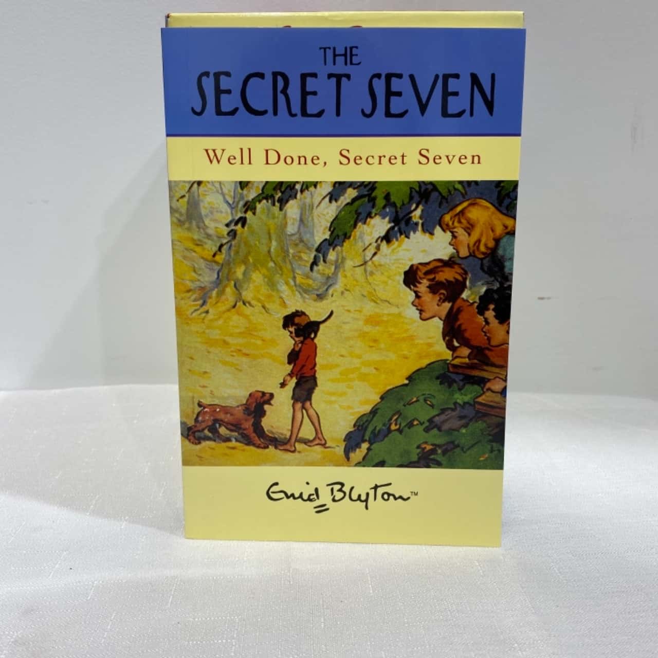Enid Blyton ‘The Secret Seven’ Set of 16 Books(s)