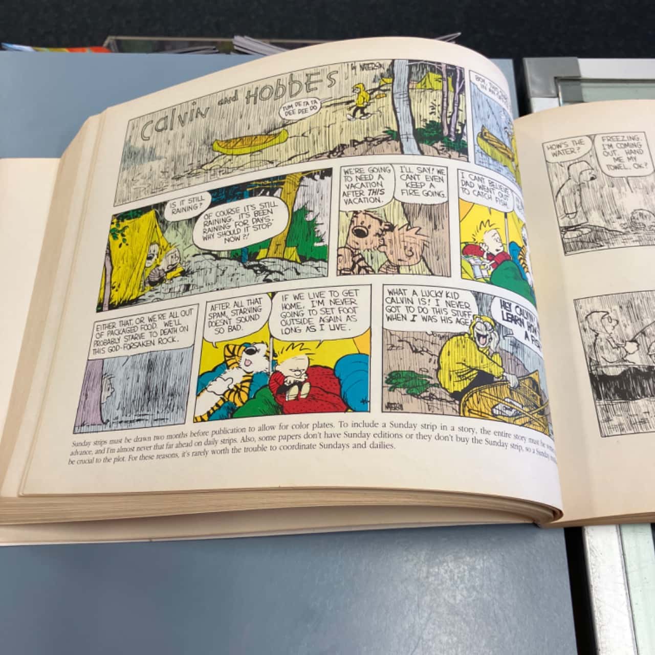 The Calvin and Hobbes Tenth Anniversary Book by Bill Watterson