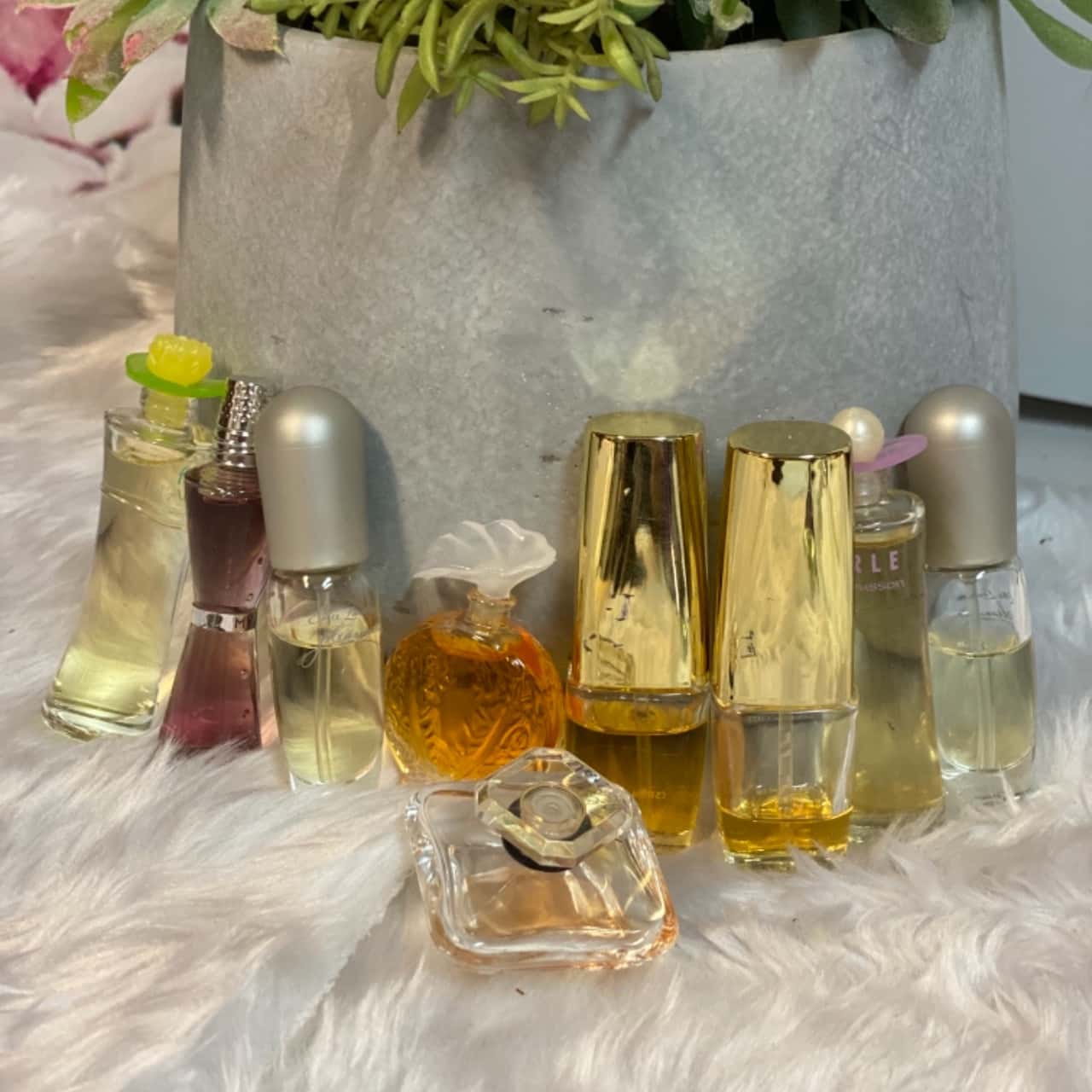 Collection of miniature perfumes (s)