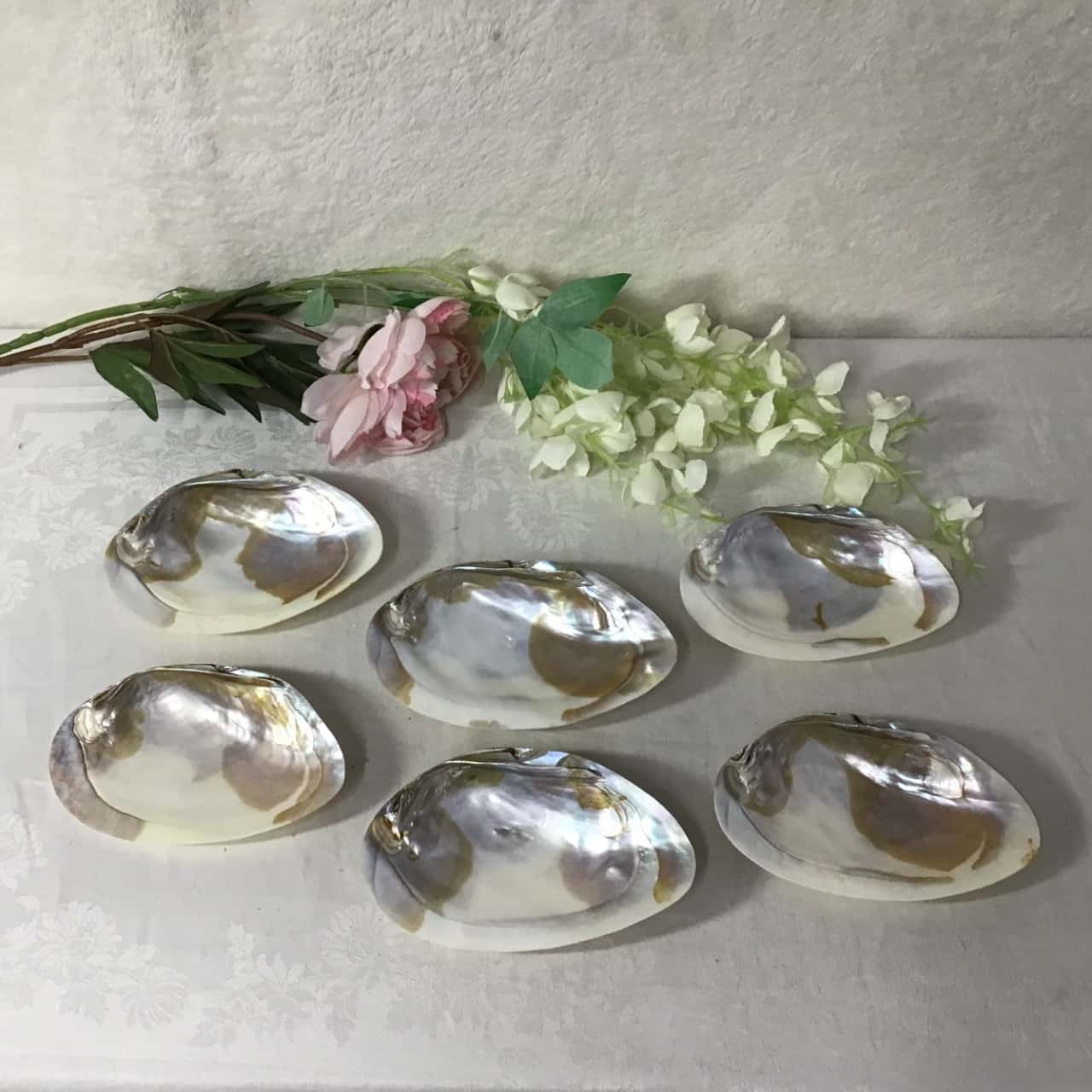 Set of 6 Mother of Pearl Shell Dishes(s)