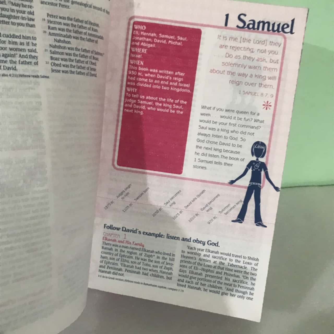 Girls Life Application Study Bible (s)