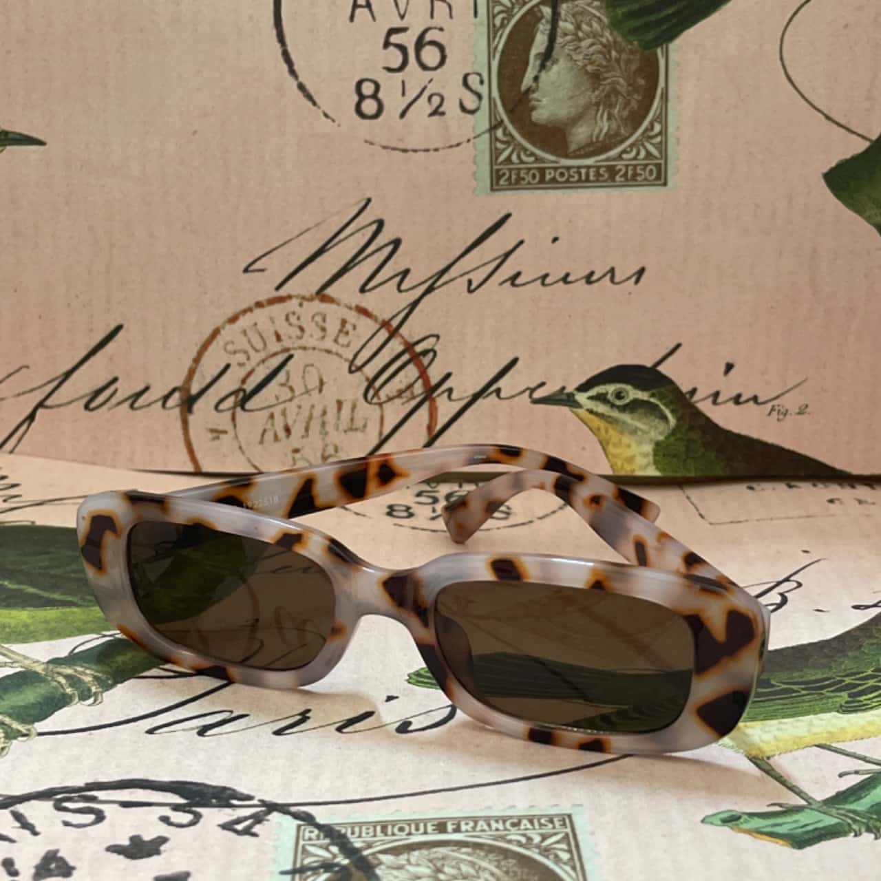 Womens AIRE Ceres rectangle sunglasses cookie tort colour box 6(s)