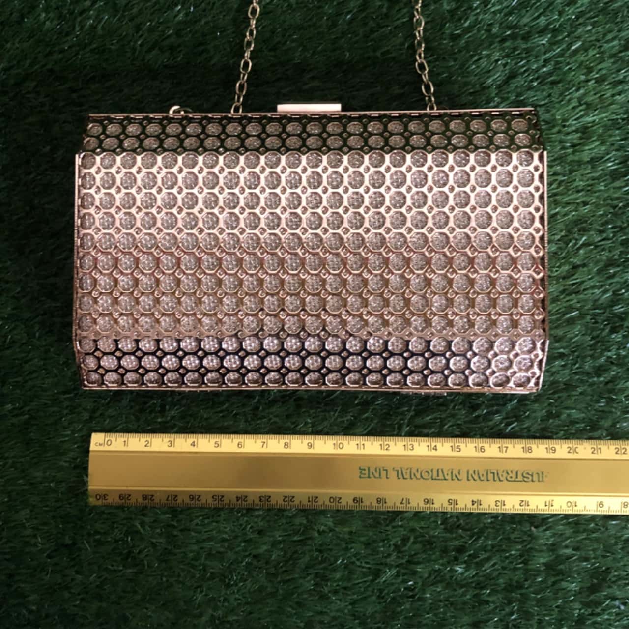 Gregory Ladner Gold Metal Hardcase Clutch Bsg(s)