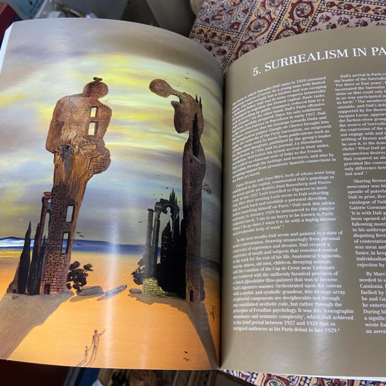 Book - Salvador Dali, Liquid Desire(s)