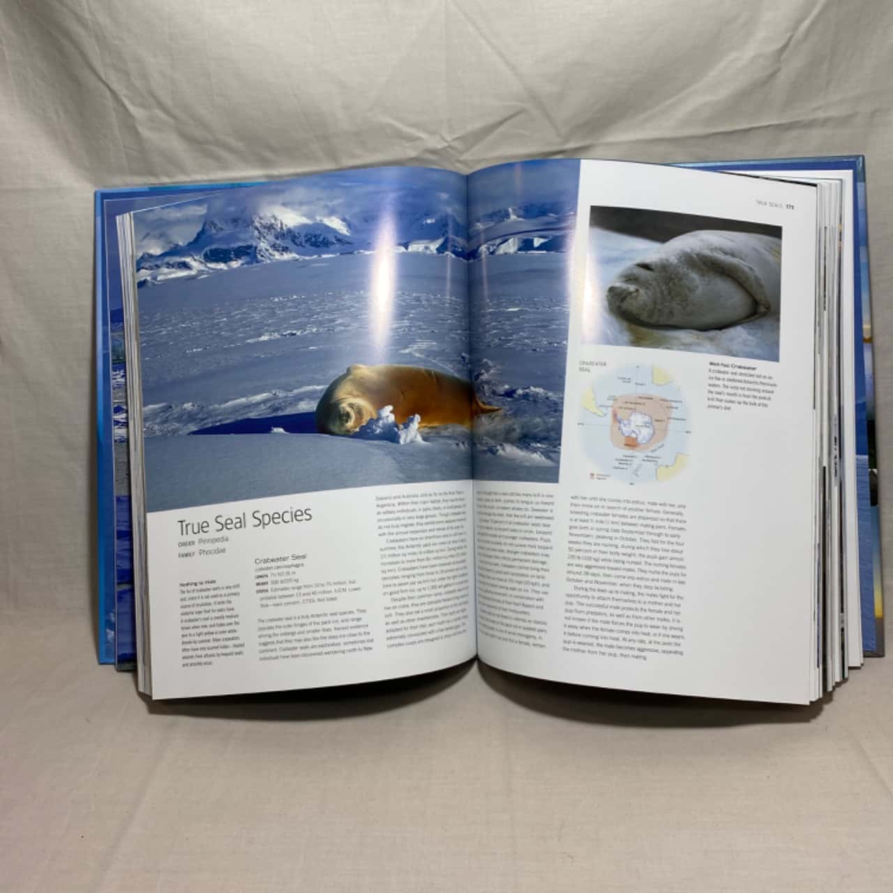 Antarctica Secrets of the Southern Continent(s)