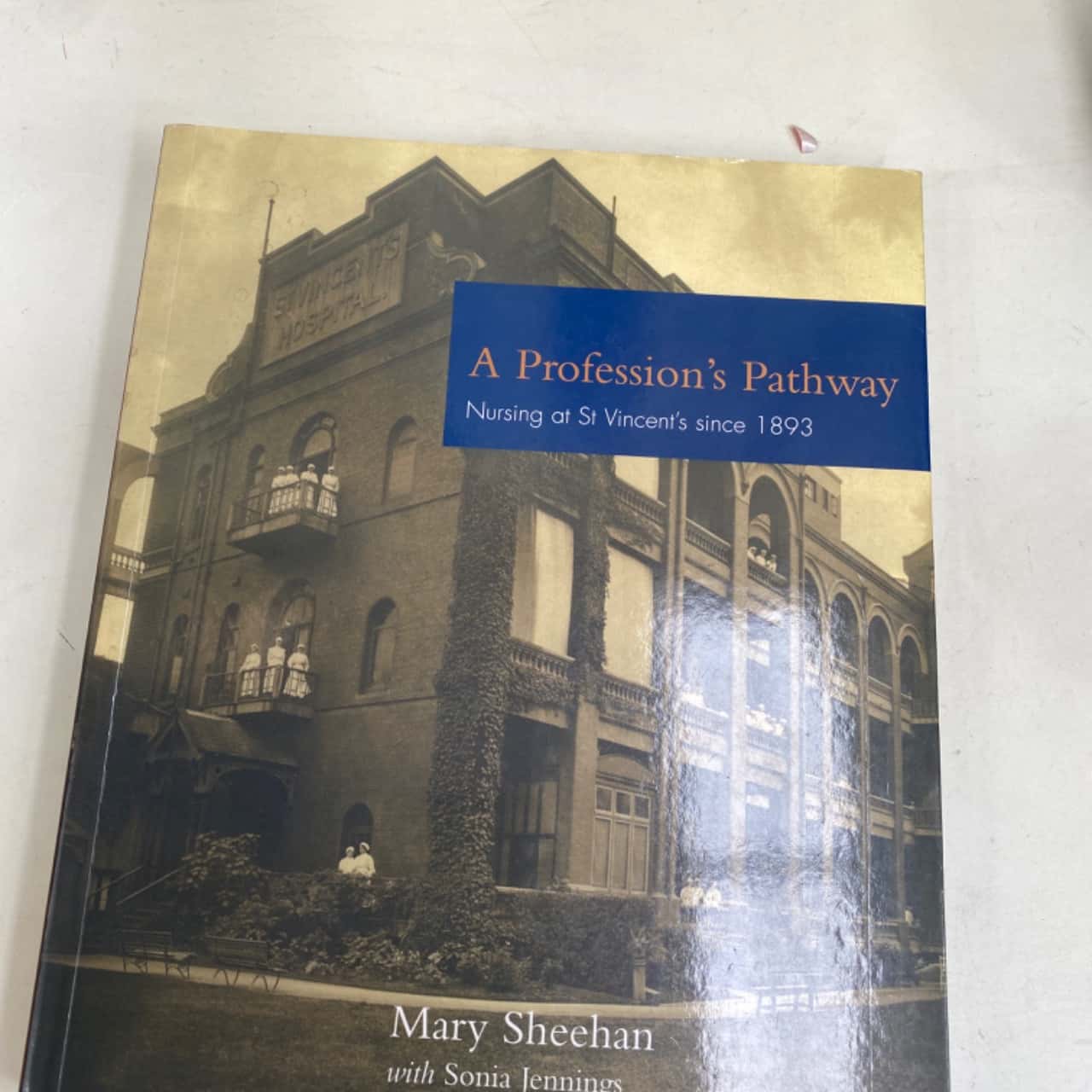 A Professions Pathway (s)