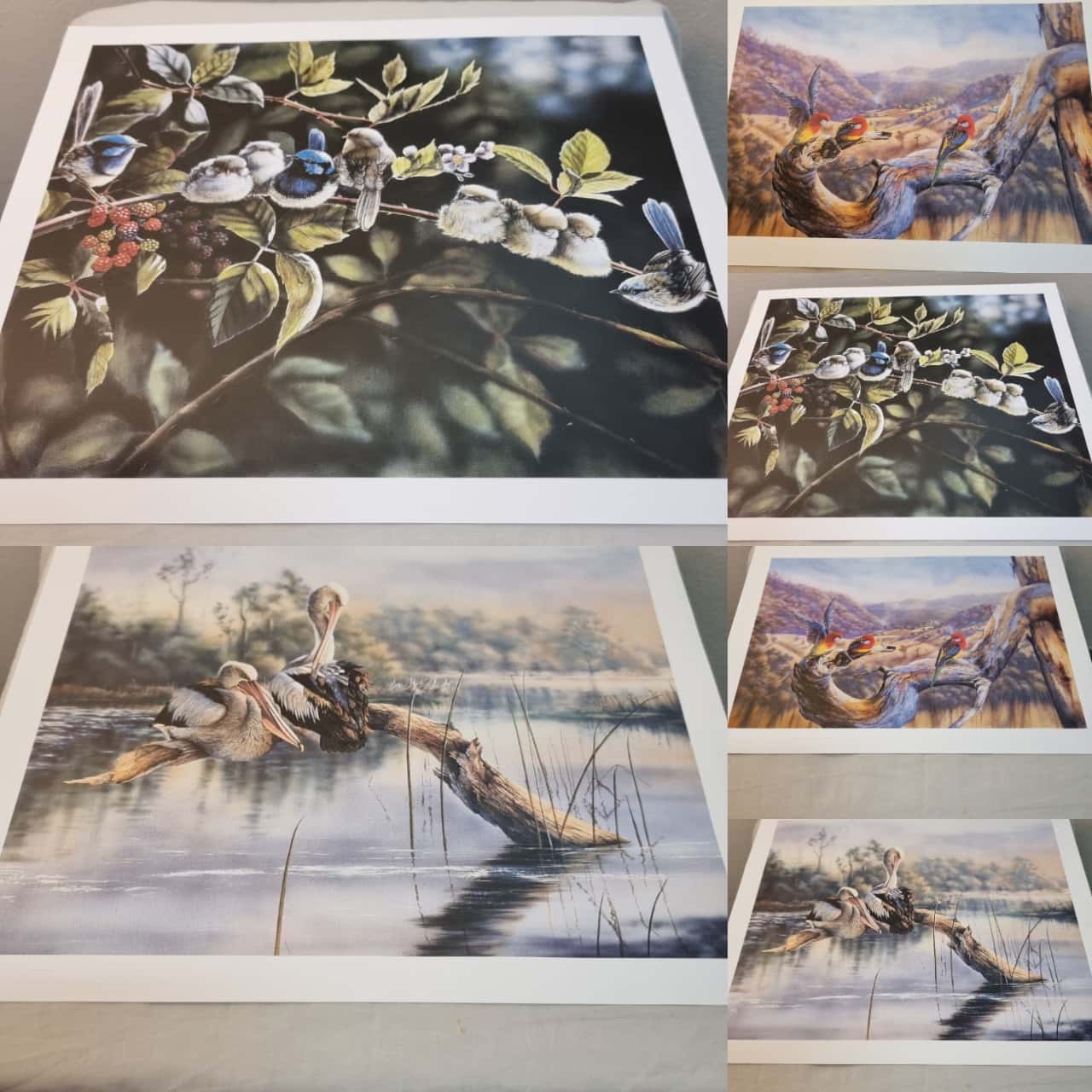 6 Assorted Bird and wildlife prints(s) - Used Very Good | Salvos Stores
