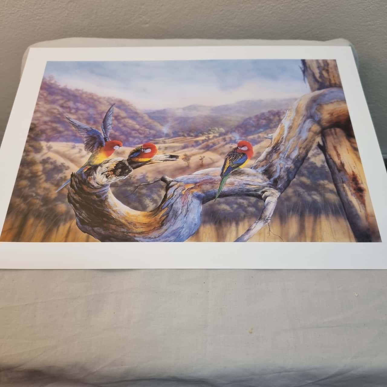 6 Assorted Bird and wildlife prints(s) - Used Very Good | Salvos Stores